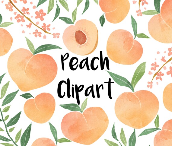 Peach Fruit Clip Art