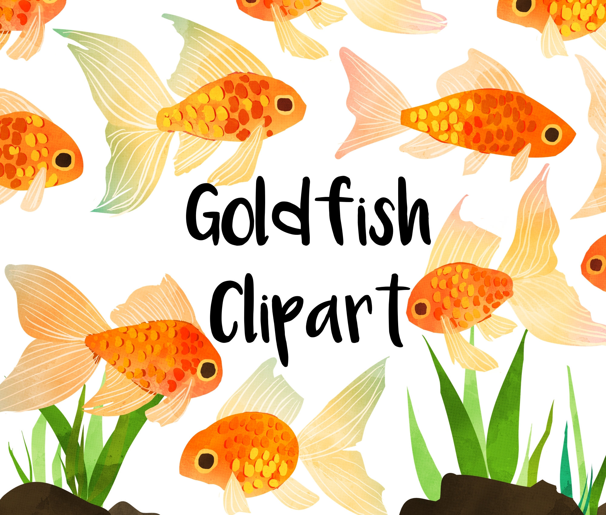 Goldfish Food Clipart For Kids