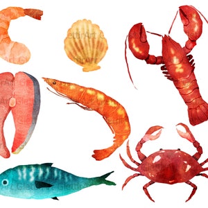 Seafood Watercolor Clipart, Crab, Lobster, Fish, Shrimp for Personal ...
