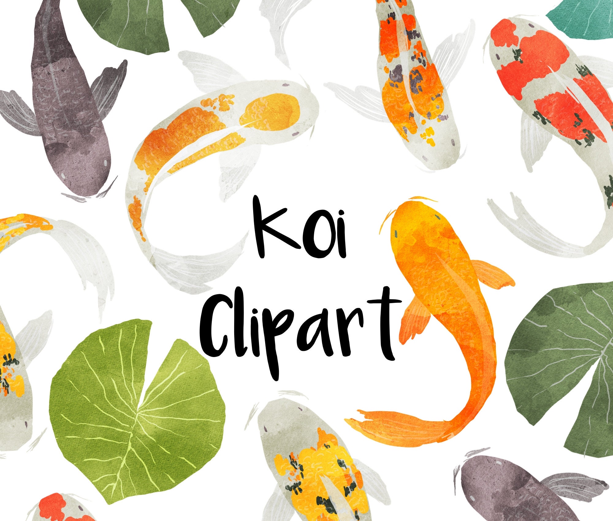 Koi Carp Fish Clip Art