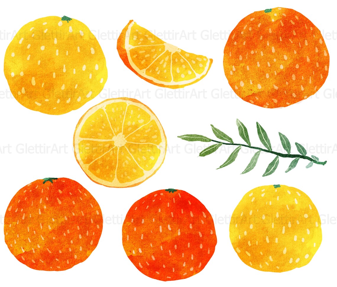 Orange Watercolor Clipart Instant Download Oranges Clip Art - Etsy