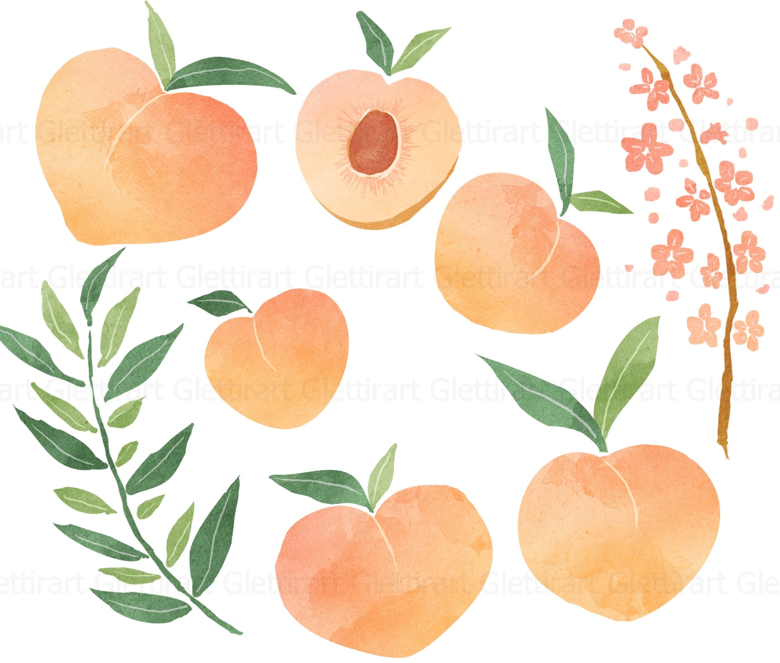 Peaches Watercolor Clipart Instant Download Peach Clip Art - Etsy
