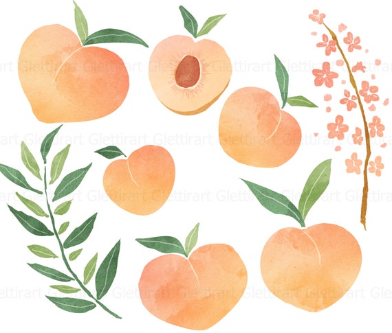 Peaches Clipart