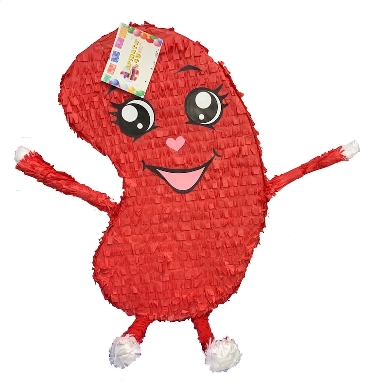 New Item 20 Kidney Pinata Organ Theme Inspirational - Etsy