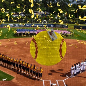 Handcrafted Softball Pinata, Perfect for Sports Themed Parties ...