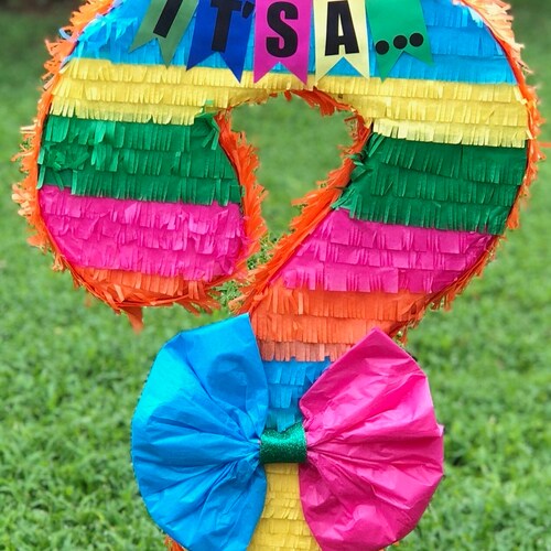Señor or Señorita Gender Reveal Banner / Fiesta Papel Picado - Etsy