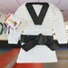 20” Tall Martial Arts Pinata Karate Tae Kwon Do Birthday Pinata Ninja ...