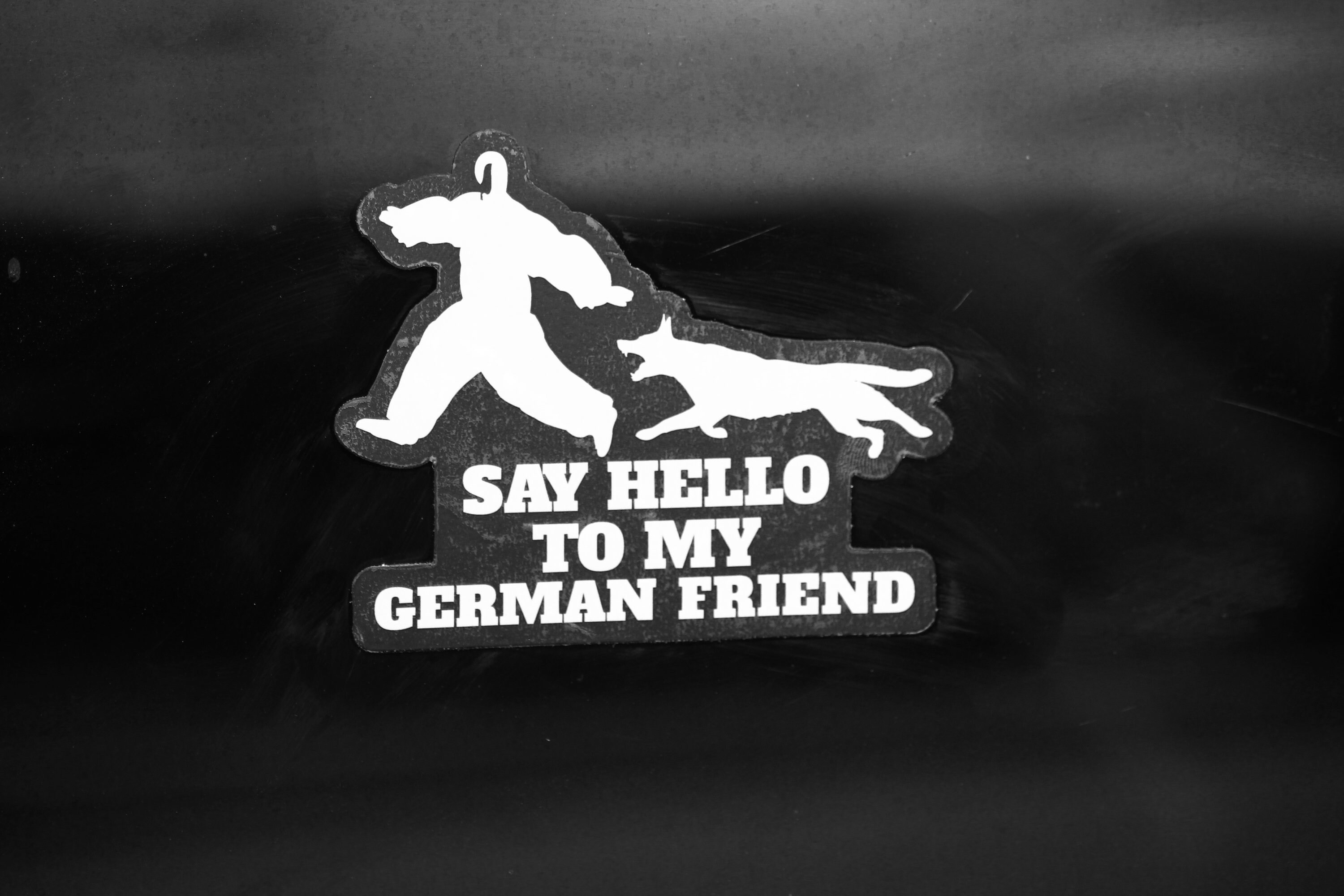 Say Hello to My German Friend WHITE COLOR VINYL Decal 4 In. | Etsy