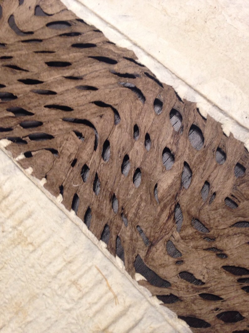 Mexican Handcrafted Bark Paper or Mexican Amate Paper Frame | Etsy