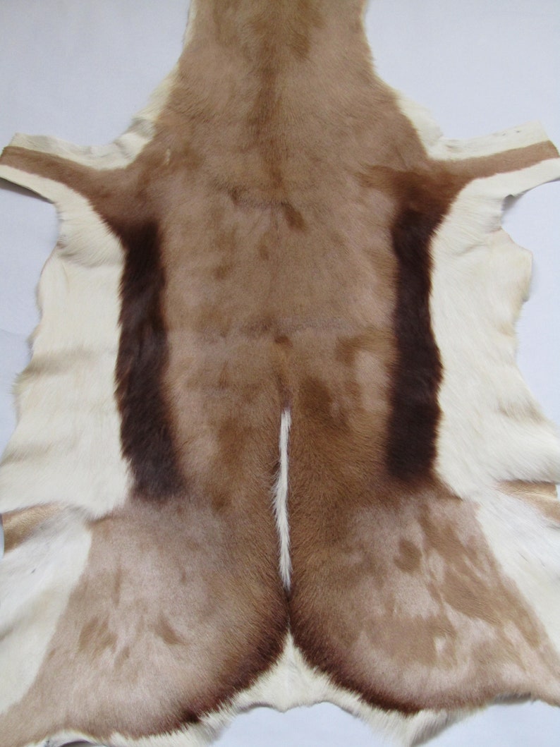 Antelope Skin Rug Animal Skin Rug for Living Room - Etsy