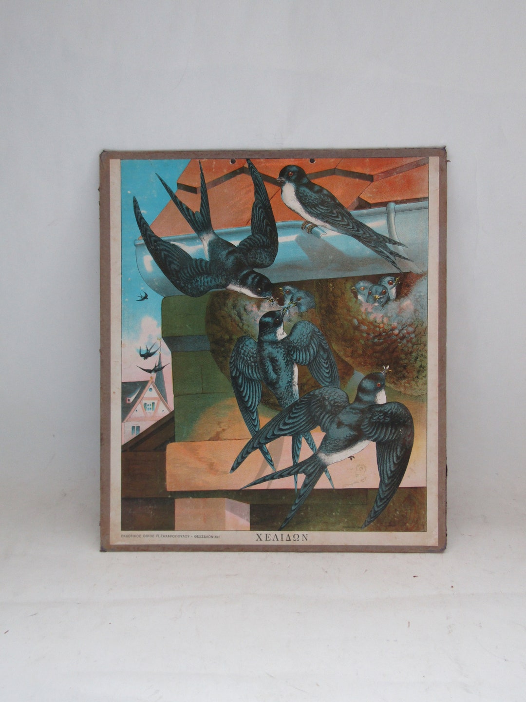 Vintage Greek Educational Wall Chart Swallow, Vintage School Decor ...