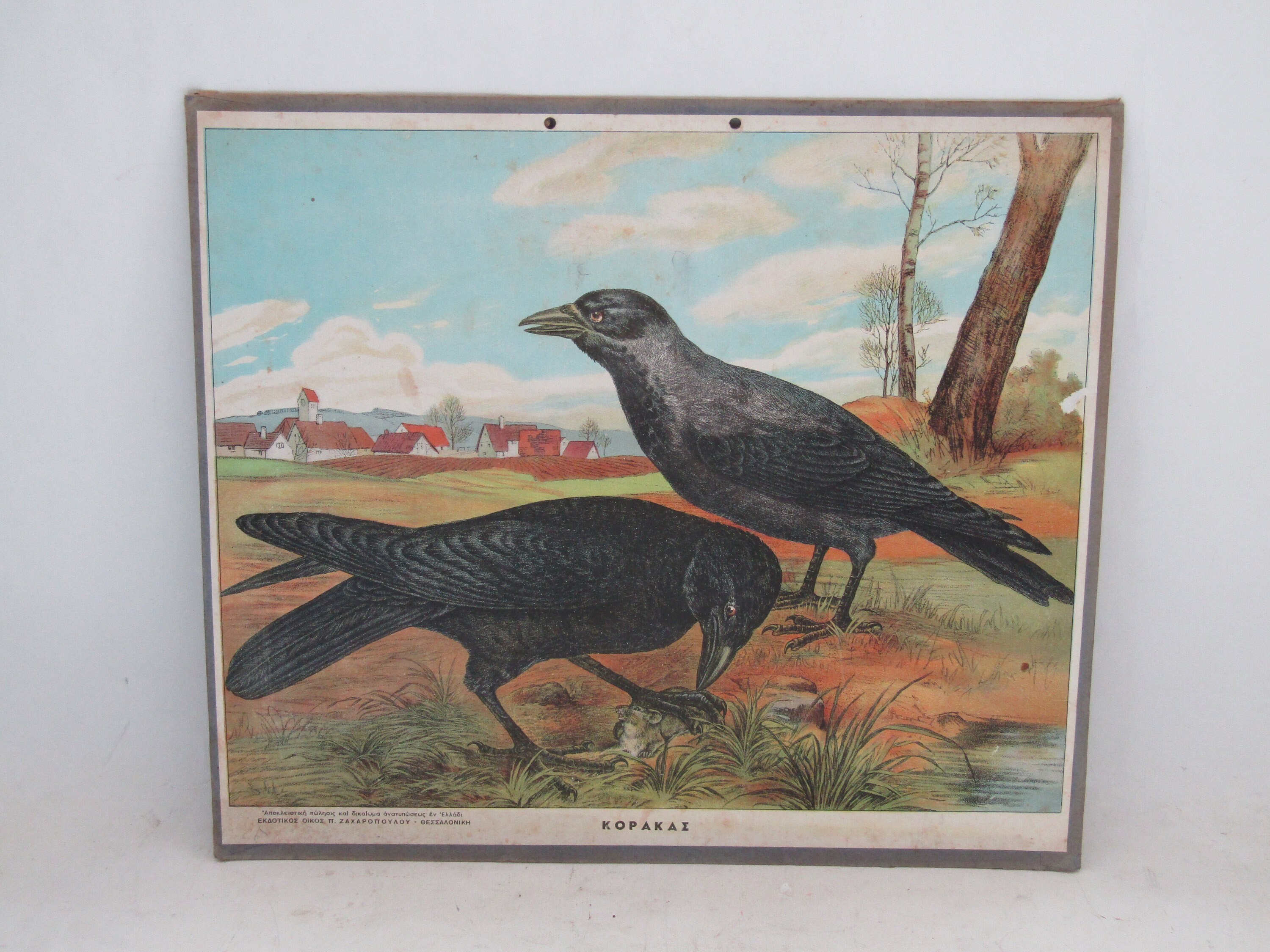 Vintage Crow Chart: Greek Educational School Decor - Etsy