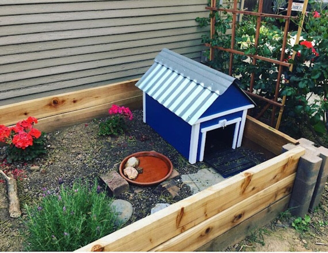 Barn Sytle Tortoise / Hatchling House - Etsy