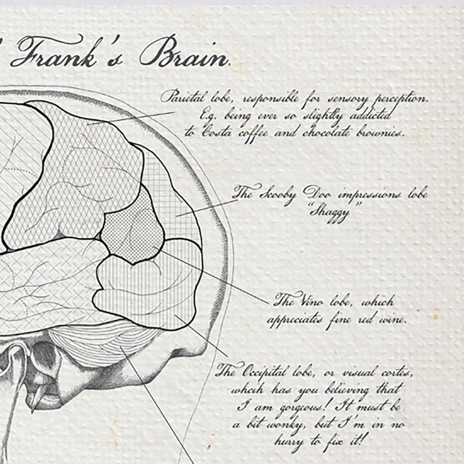 Personality inner Workings of My Brain Anatomy | Etsy