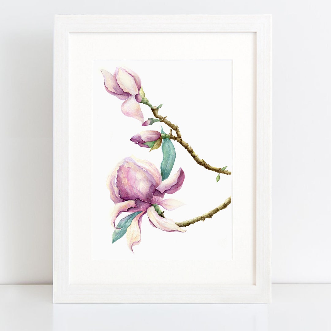 Magnolia Blossoms - Print of Original Watercolour Art - Artist - Sarah ...