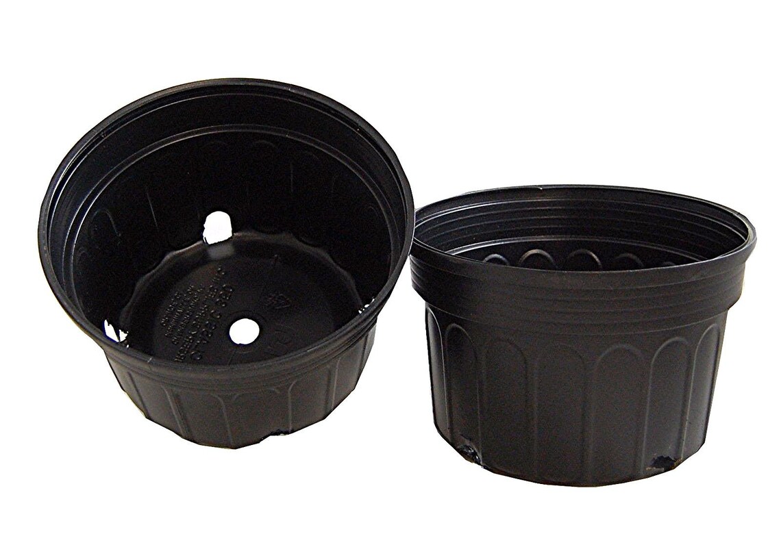 Mum Pan, (qty. 50) 8x5 Black Nursery and Greenhouse Pot, Bulb Pot ...
