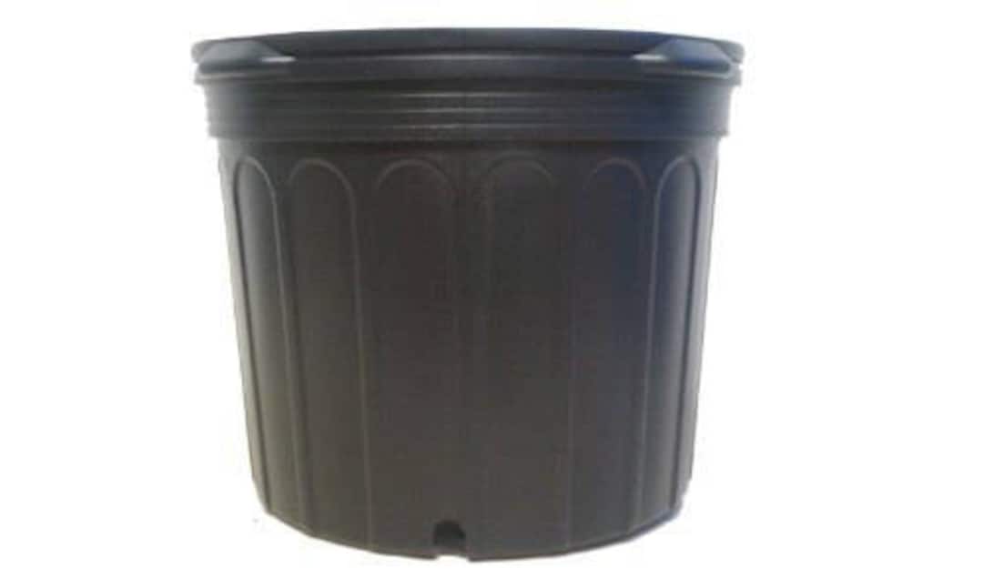 7 Gallon Black Nursery Pots, (qty. 6), Plastic Nursery Greenhouse ...