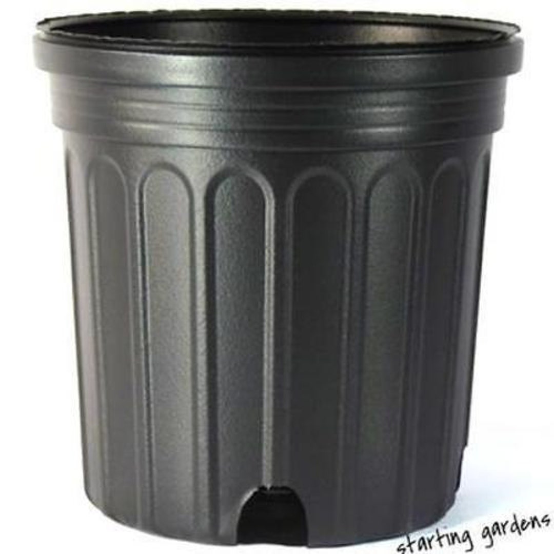 1 Gallon Nursery Pot (qty. 100), Black Trade Gallon, 6.5 Inch ...