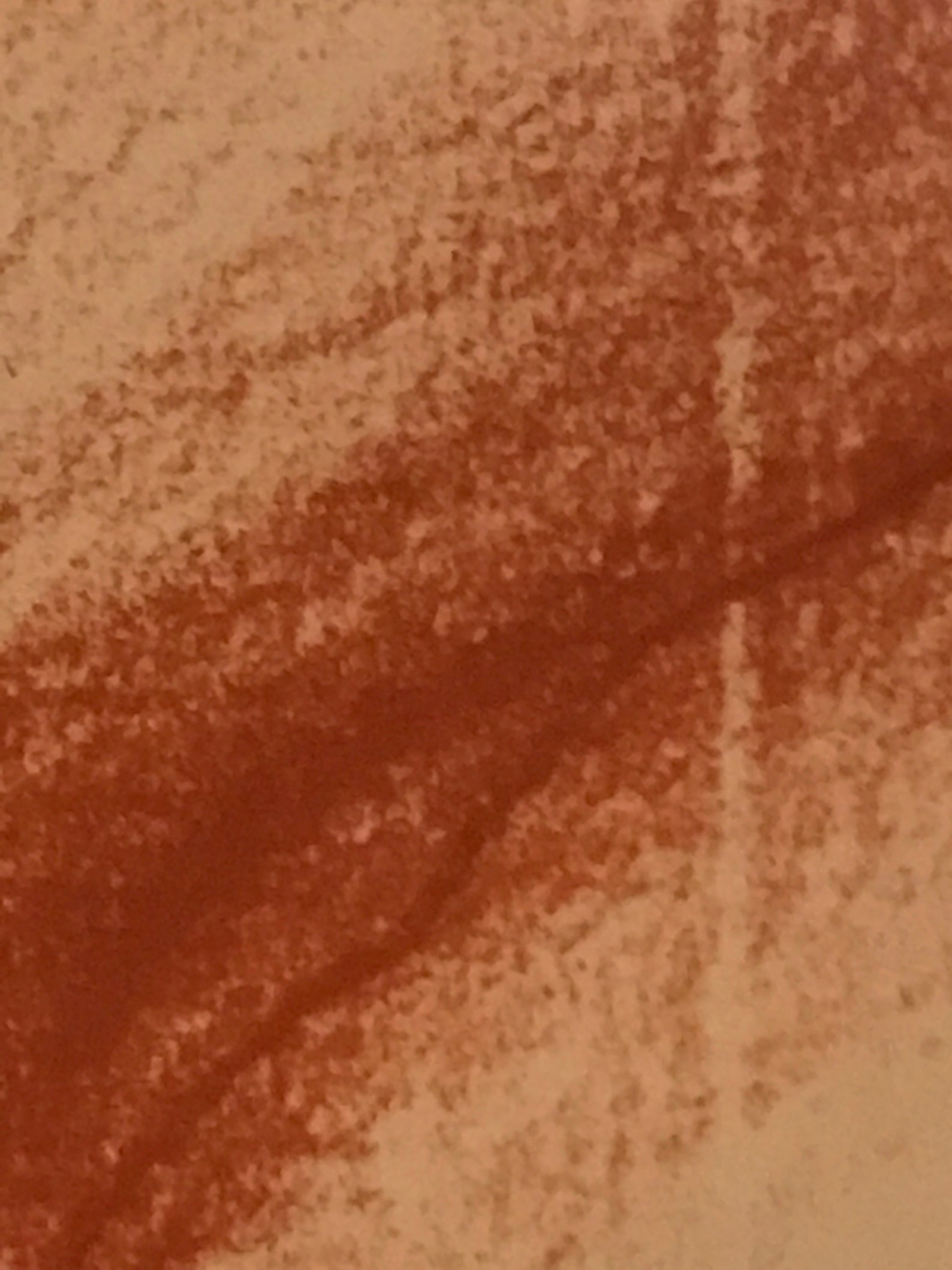 Conte Crayon/chalk Sketch of Bust Signed Lower Right - Etsy