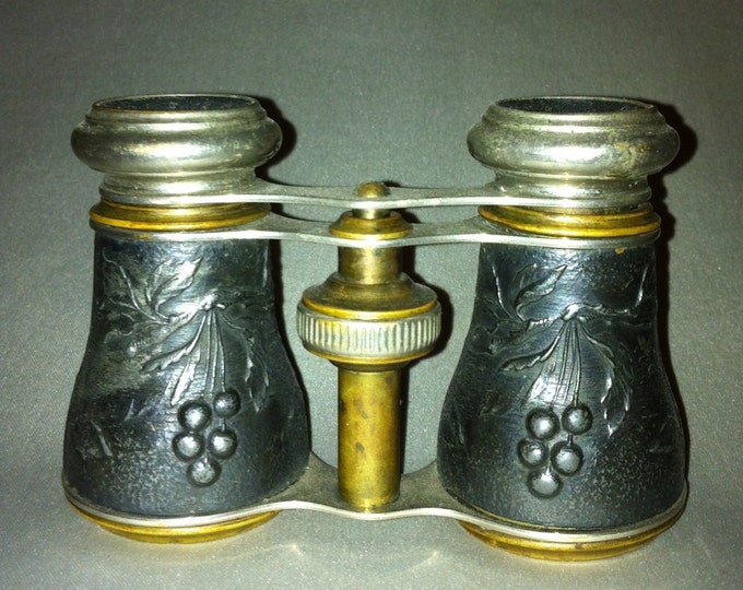 Chevalier Paris Antique Opera Glasses Bird Scene - Etsy