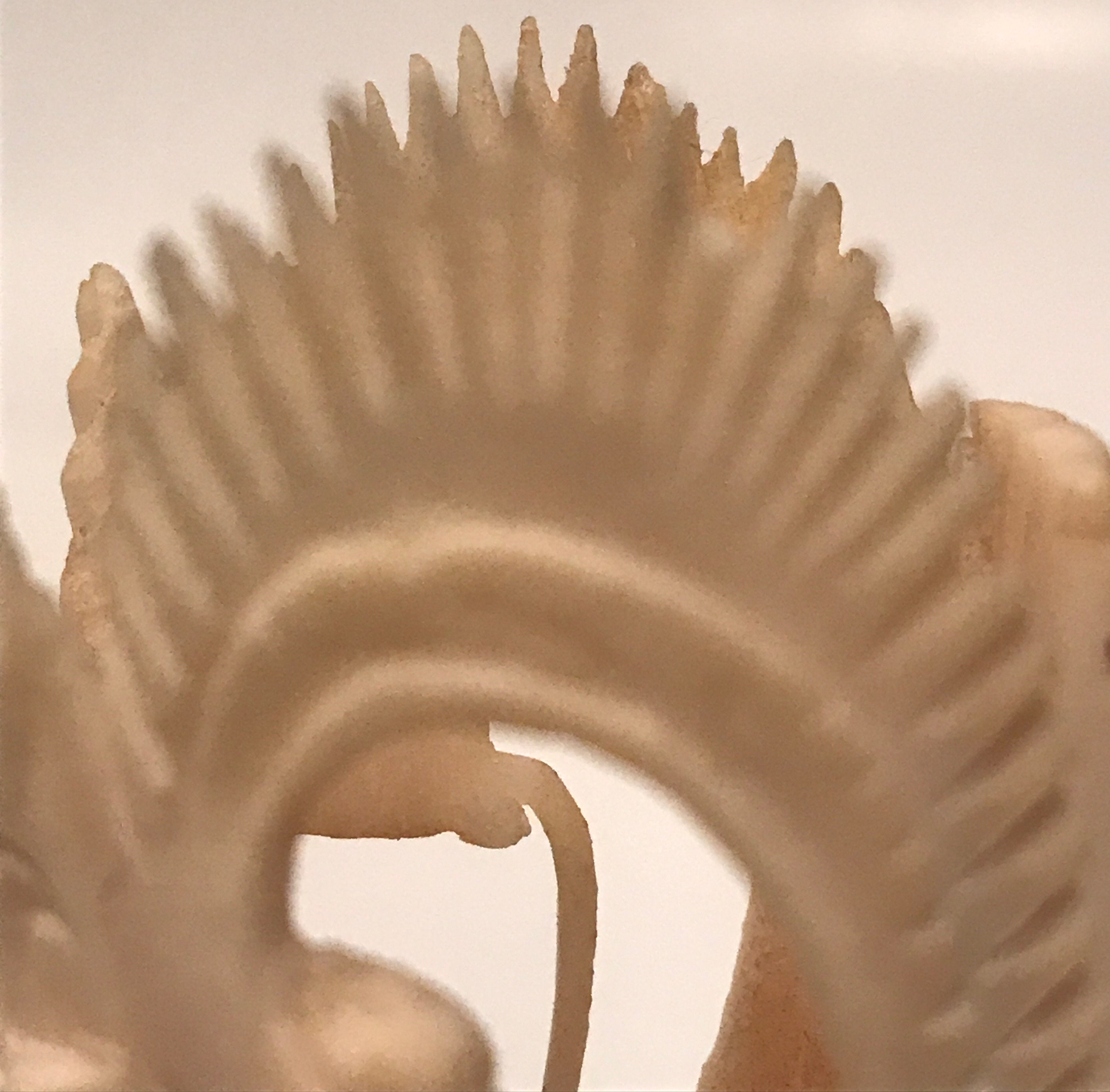 Bone Carving Sculpture Southeast Asian Bone Carving | Etsy