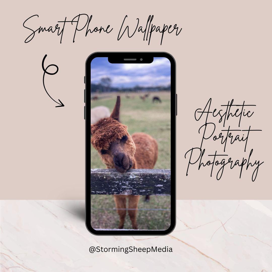 Alpaca Phone Wallpaper – Digital Download, iPhone & Samsung Background ...