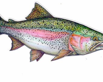 Steelhead decal | Etsy