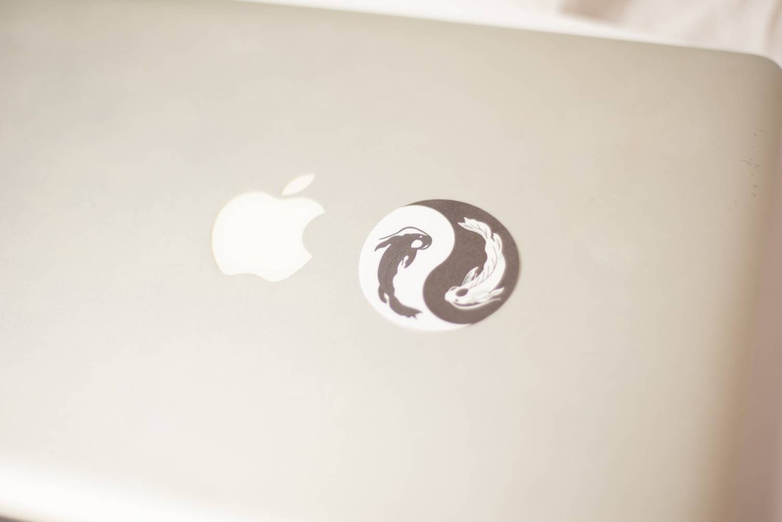 Tui & La Sticker Moon and Ocean Spirit Sticker Avatar the Last ...