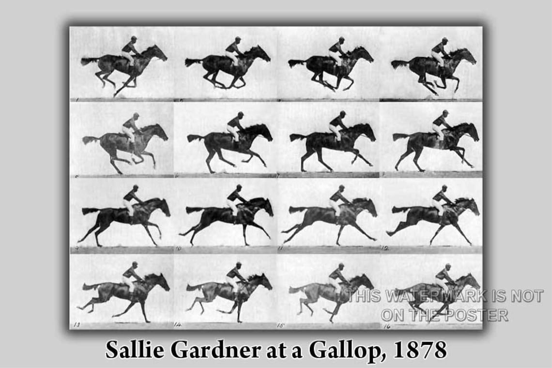 Poster Many Sizes Available Sallie Gardner At A Gallop Eadweard