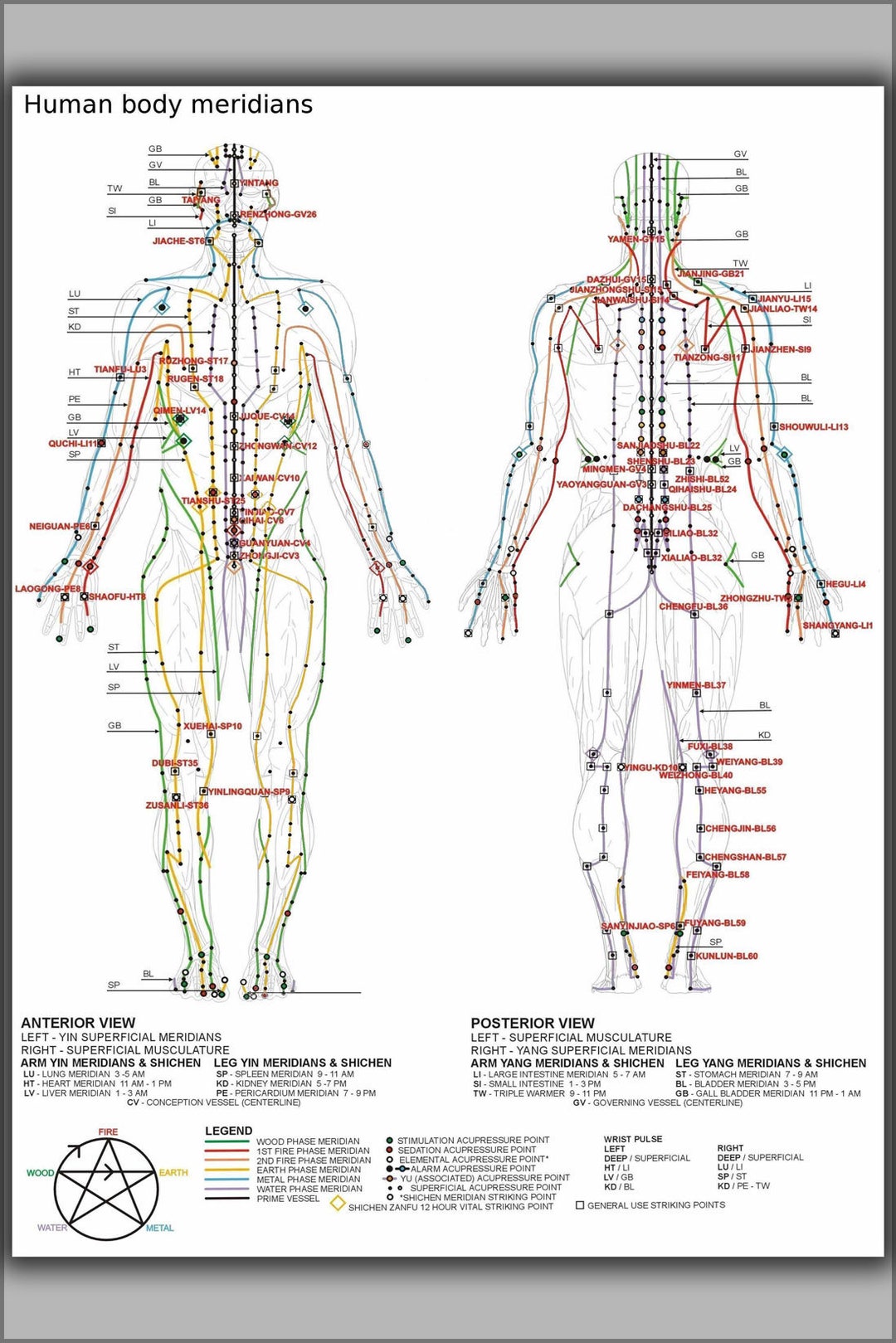 Poster, Many Sizes Available; Chinese or Human Body Meridians for ...
