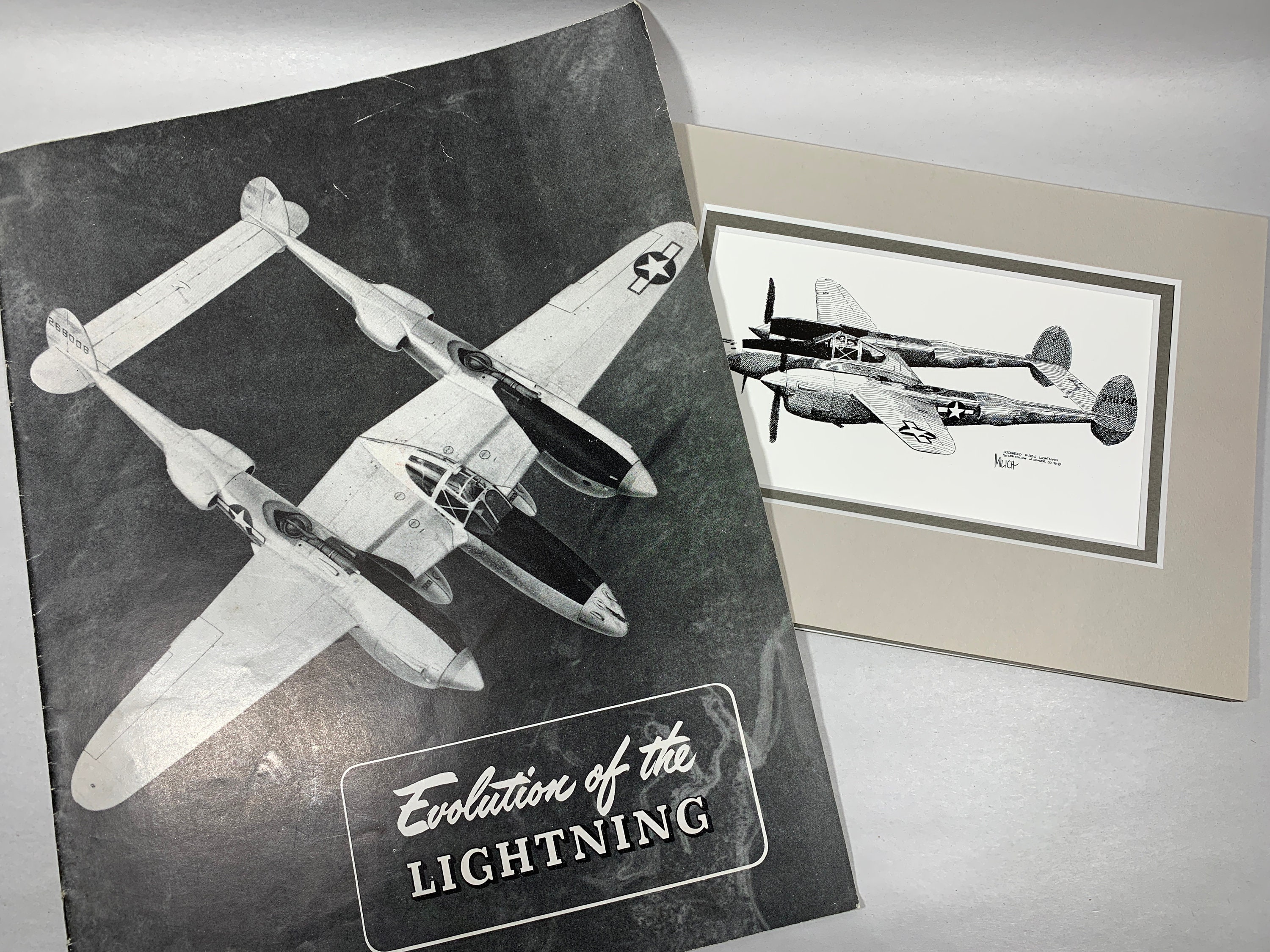 Lockheed Aircraft Evolution of the Lightning P-38 Plus Joe | Etsy