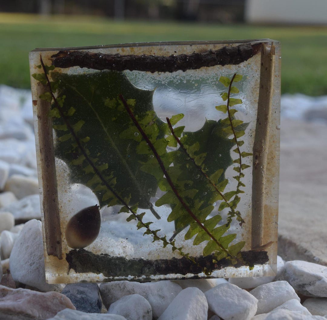 Resin * Nature * Holly * Ferns * Resin Cube - Etsy