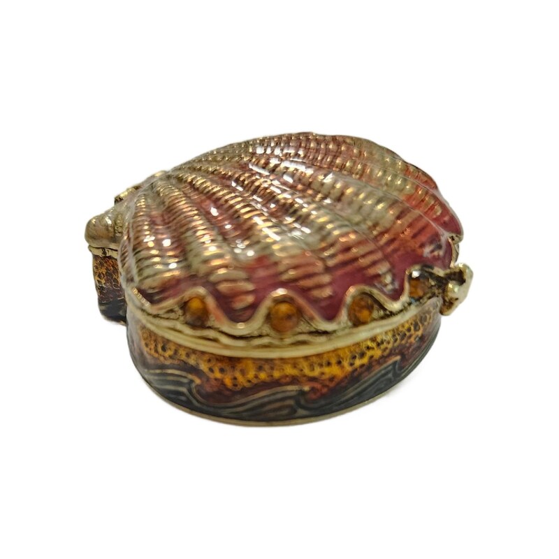 Shell Pill Box - Etsy