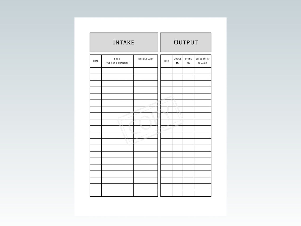Intake and Output Digital Printable, Fluid Balance Home Health, Hospice ...