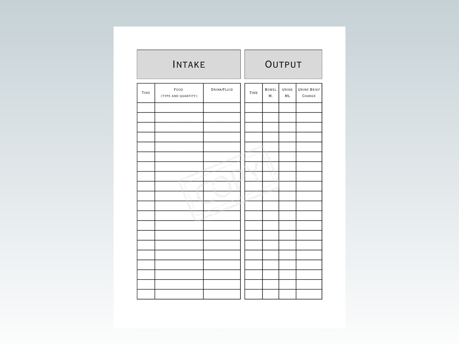 Intake and Output Digital Printable, Fluid Balance Home Health, Hospice ...