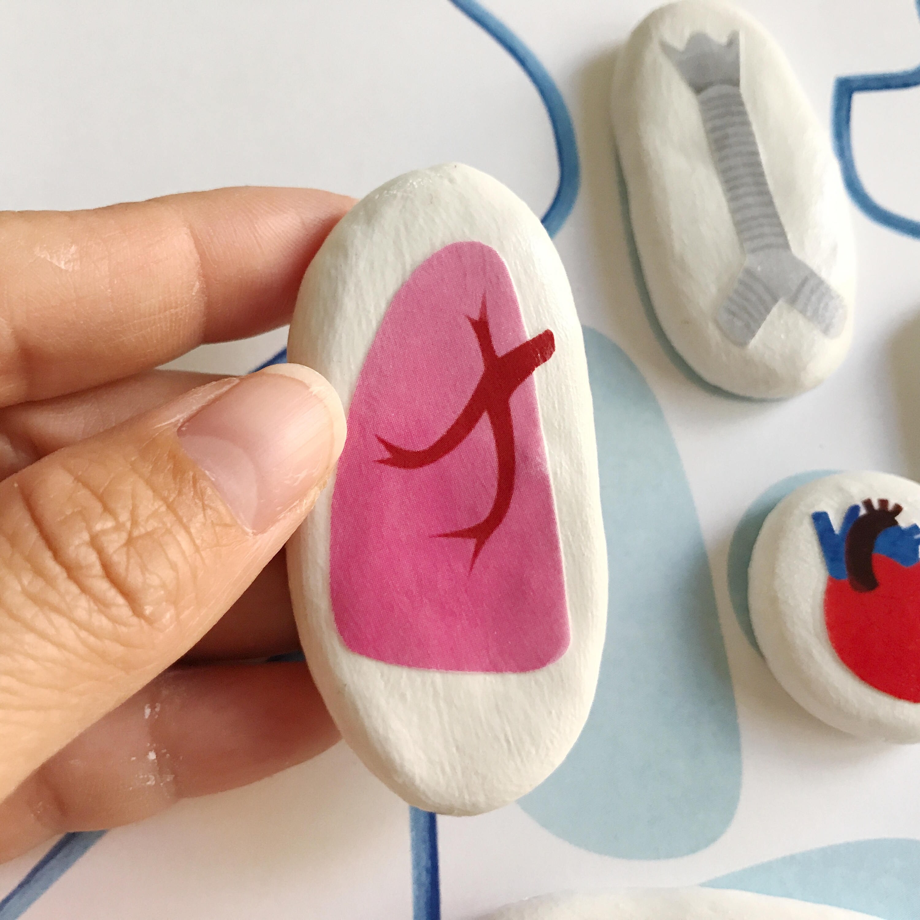 Montessori Internal Organs Matching Game DOWNLOADABLE PDF - Etsy
