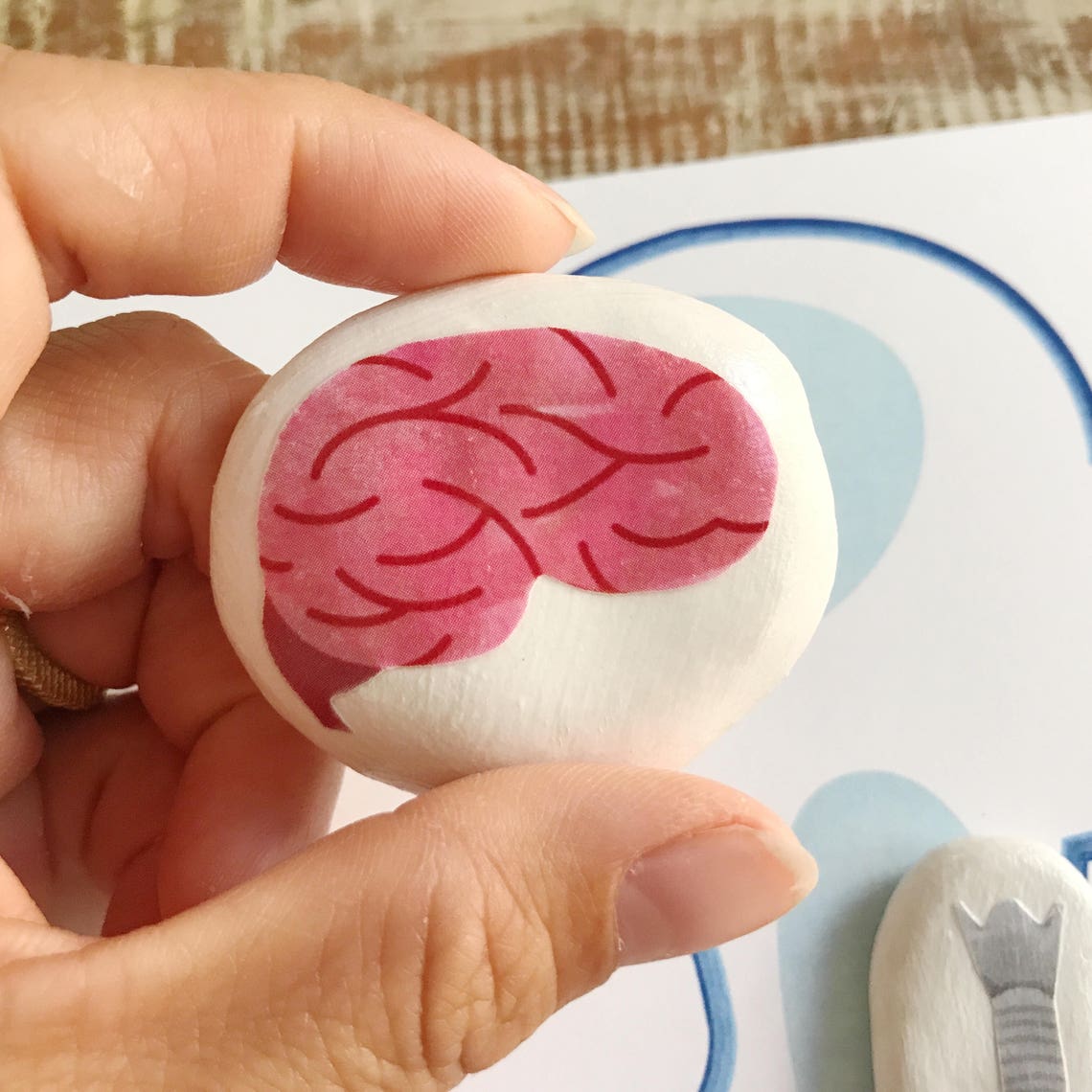 Montessori Internal Organs Matching Game DOWNLOADABLE PDF - Etsy Australia