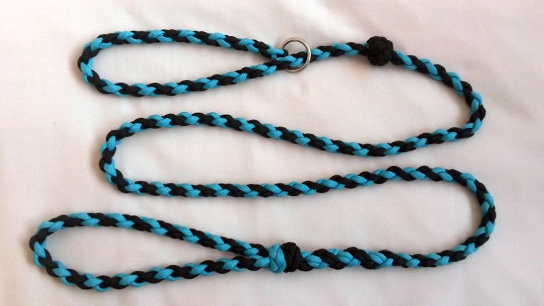 Slip Leash, Paracord 550, Custom Made, Many Colour to Choose From - Etsy