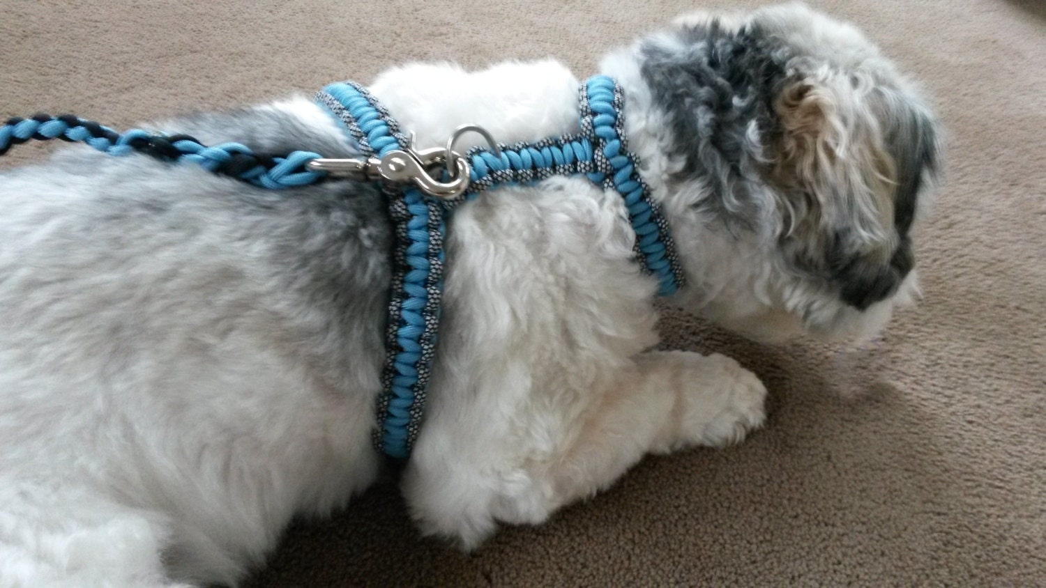 Dog Harness, Custom Made, Cobra Weave, Paracord 550 - Etsy