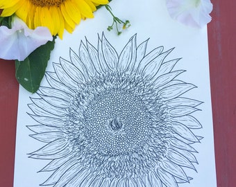 Sunflower drawing | Etsy