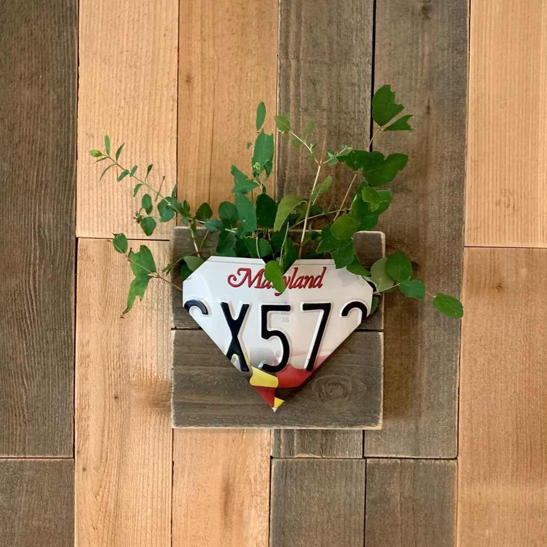 Home State Pride | License Plate Wall Decor | Planter Wall Pocket | YOU ...