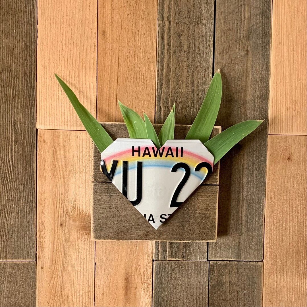 License Plate Planter | Metal Wall Pocket | Home State Decor - Etsy