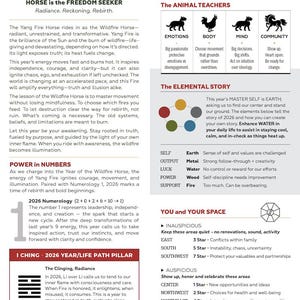 2026 YEAR of the WILDFIRE HORSE ~ Flying Stars Cures Kit | Feng Shui ...