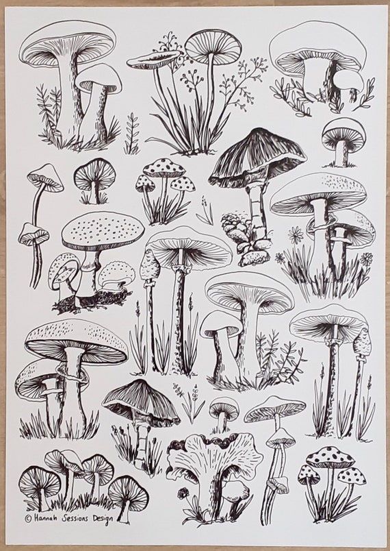 Shroom Drawings