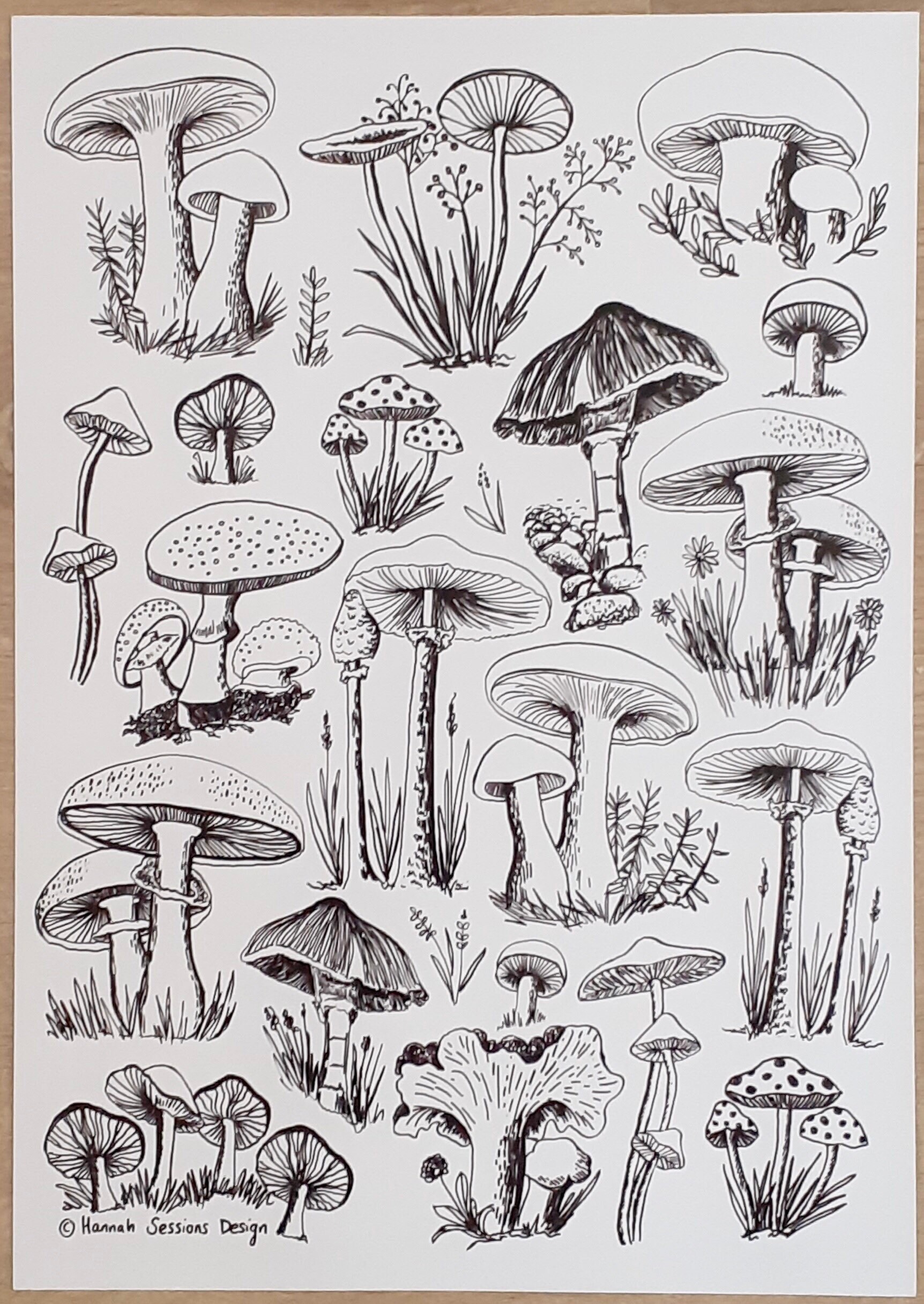 Cool Mushrooms Drawings