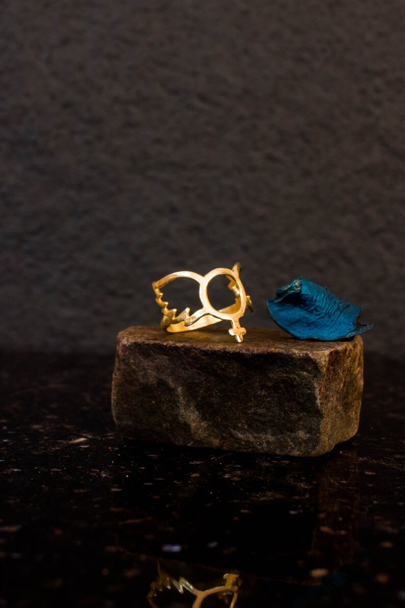 14k Gold Angel Wing Ring Guardian Angel Ring Venus Symbol - Etsy Israel