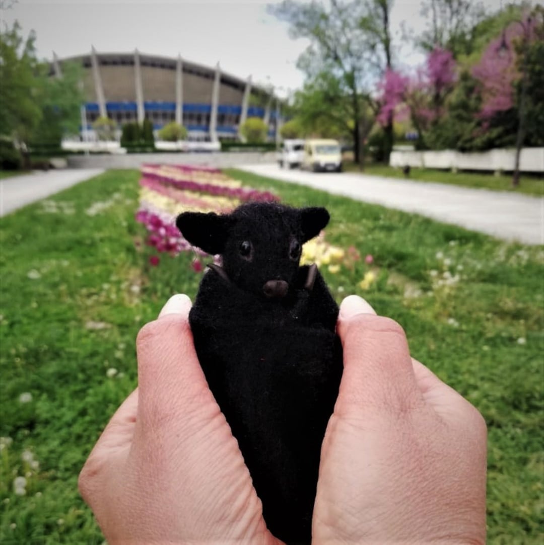 Needle Felted Realistic Bat, Vampire Bat, Gothic Gift Ideas, Needle ...