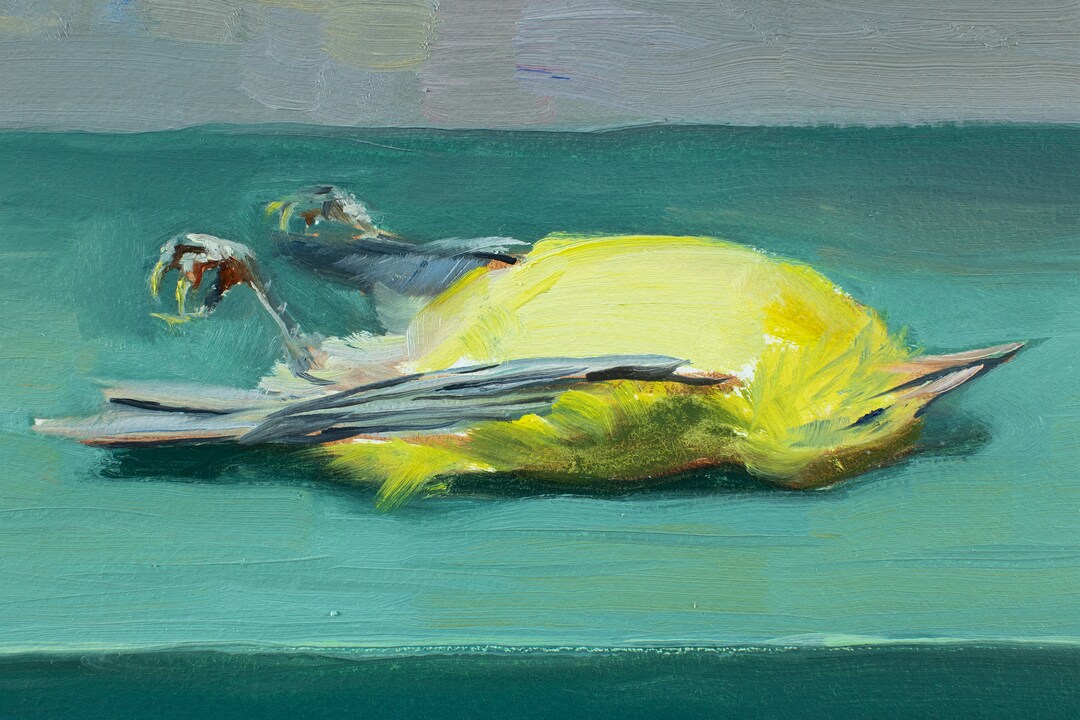 Flightless - Realistic Oil Painting of a Dead Yellow Bird, Original Oil ...