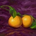 Clementines on Crimson Velvet Background Original Oil Painting Small ...