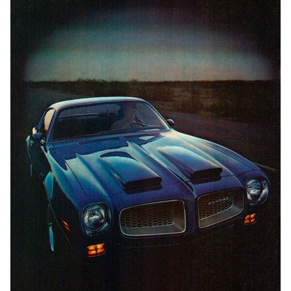 Pontiac Firebird Poster - Etsy